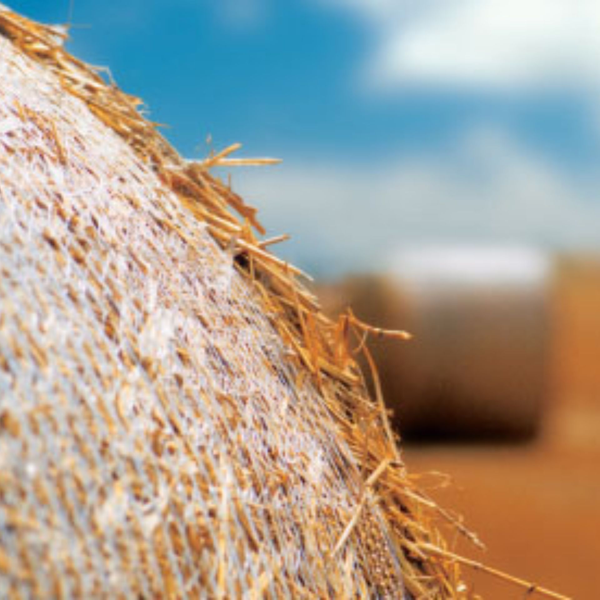 Bale Net Wrap At Wholesale Prices