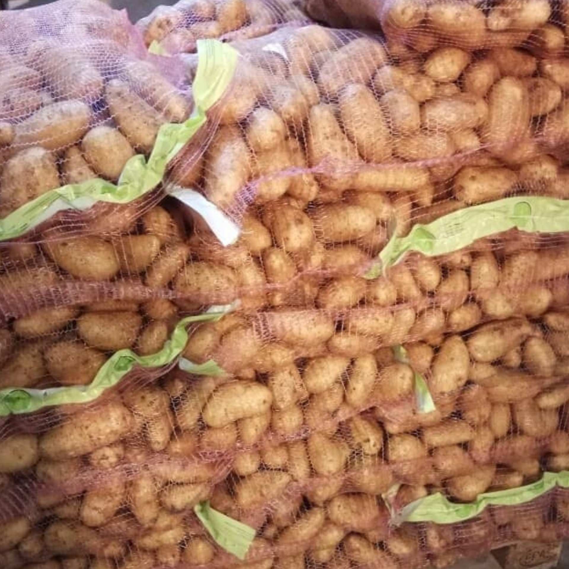 Mesh Bag Roll - Wholesale Prices