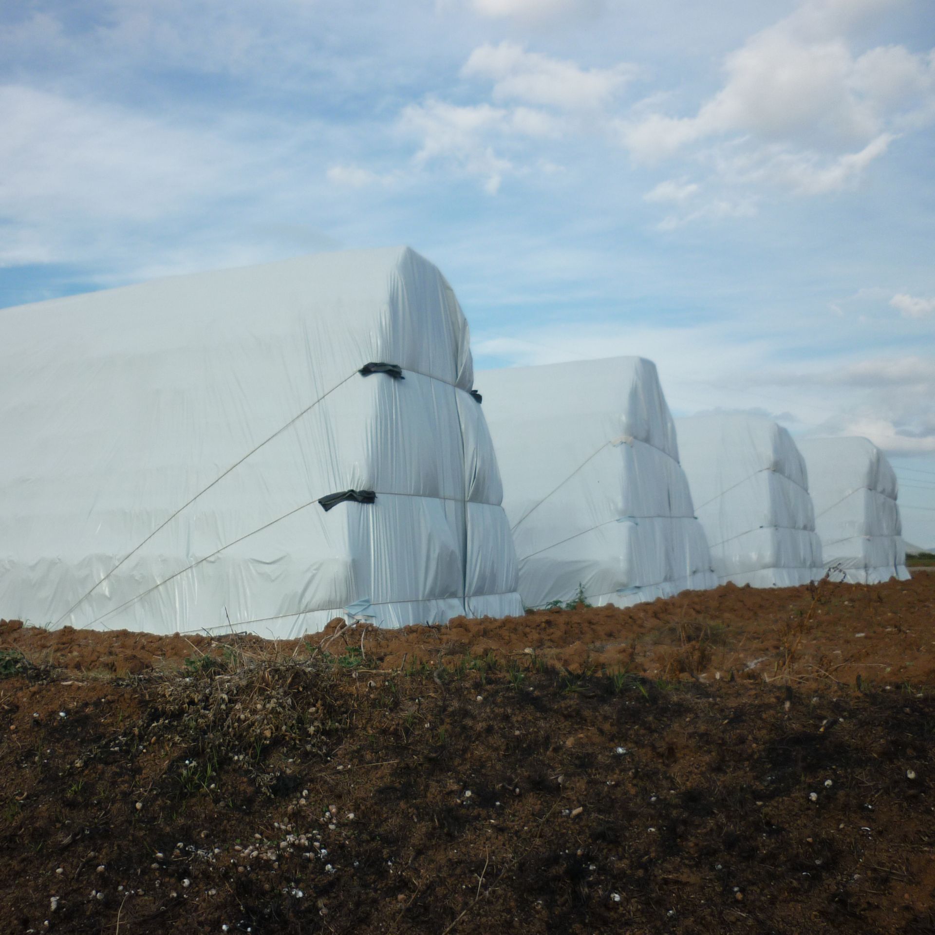 Bale Net Wrap At Wholesale Prices