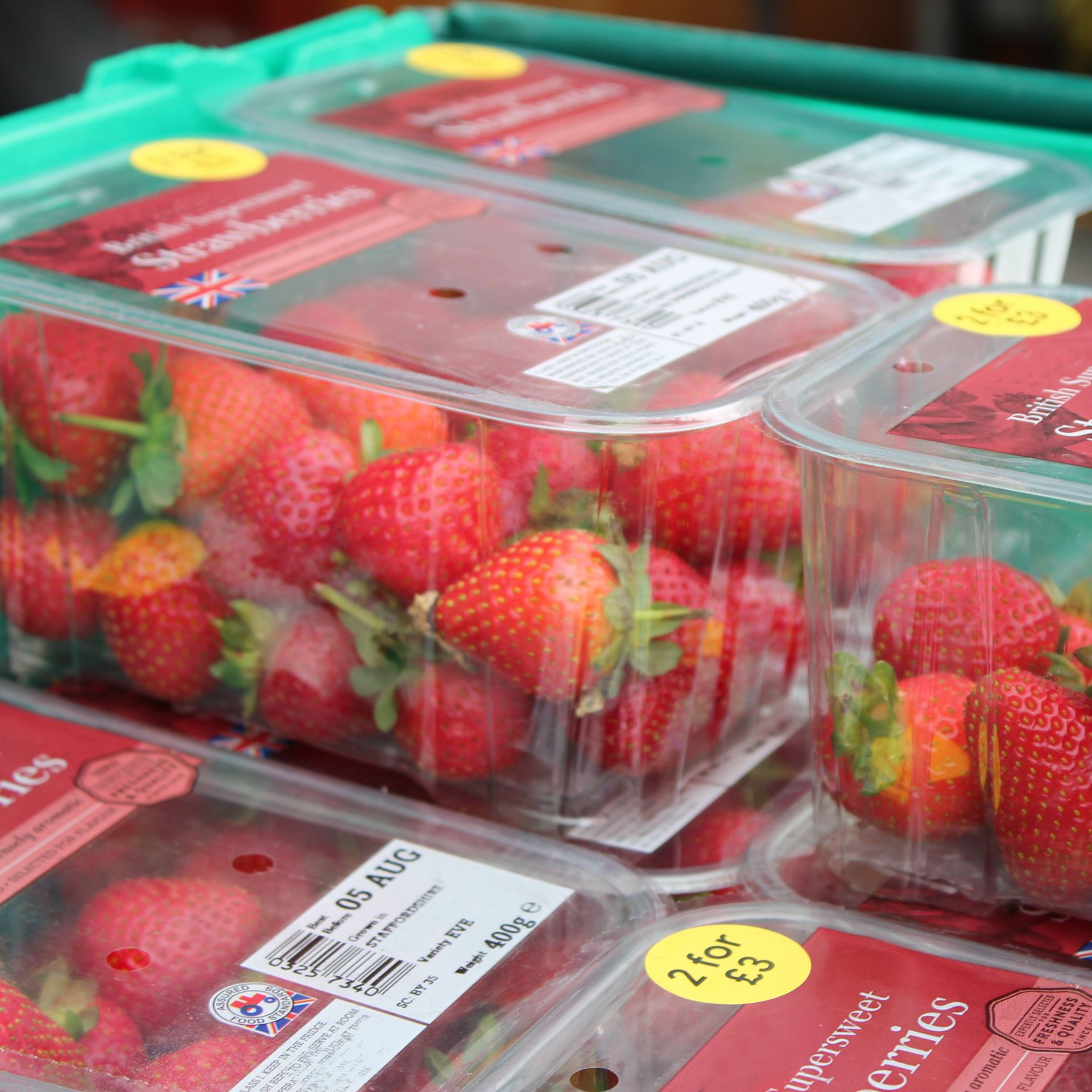 Lidding Film For Food Packaging & Fruits (Wholesale)