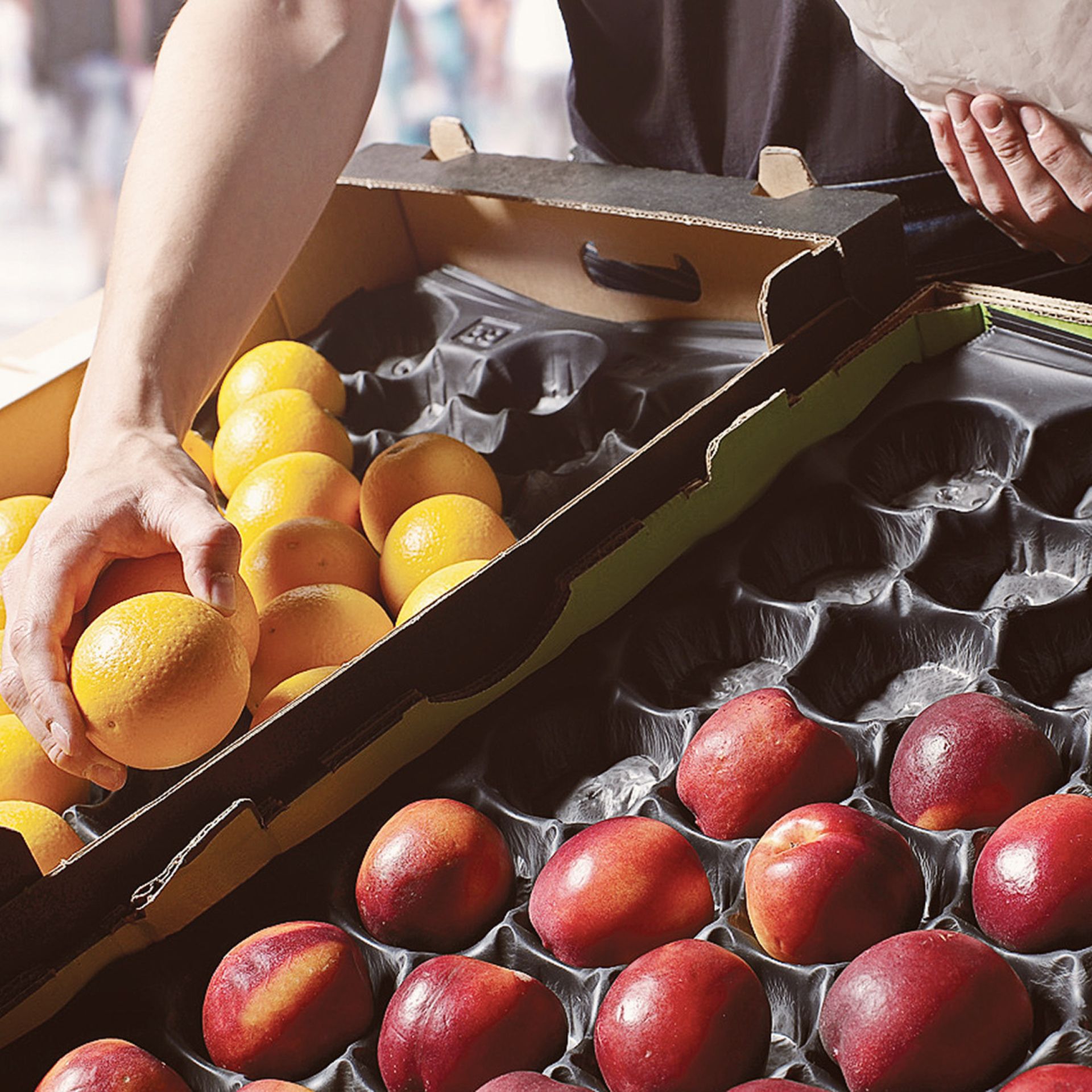 Plastic Trays For Fruit & Vegetable Packaging (Wholesale)