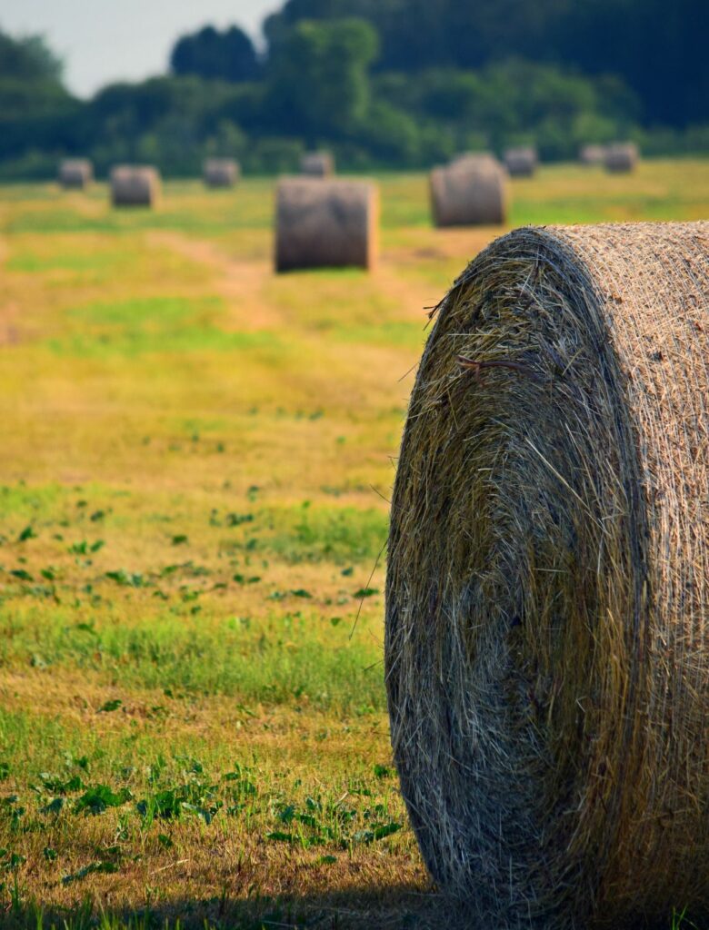 HELLAGRO Α.Ε. | Λύσεις Συσκευασίας & Γεωργικών Εφαρμογών