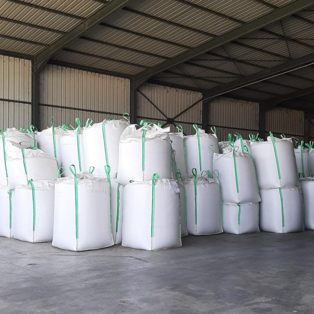 Big Bags With 4 Loops - Wholesale Prices