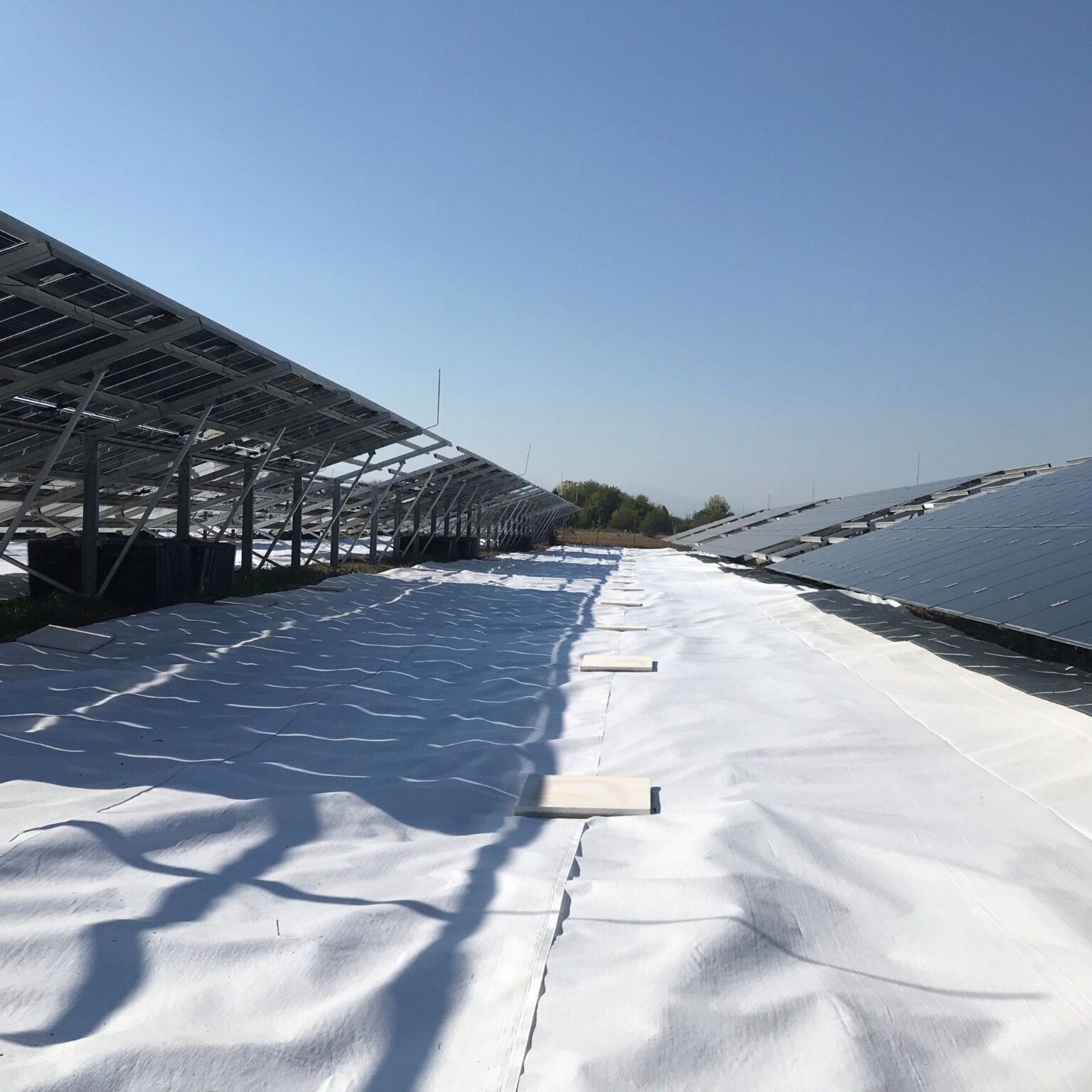 LAEVO-S: Ground Cover Fabric for Photovoltaic Parks